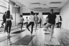 Group Yoga | Laya Wellness